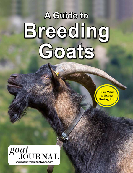 A Guide to Breeding Goats Flip Book - Goat Journal